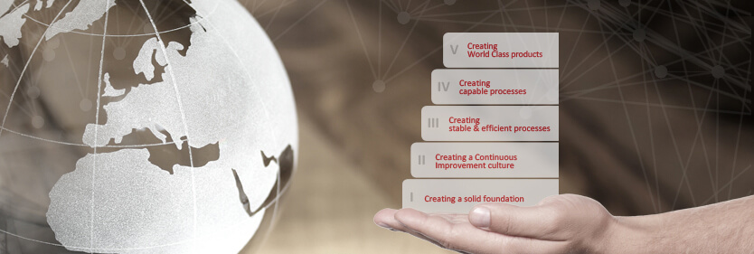 Capability Improvement Maturity Model (CIMM) | LSSA.eu